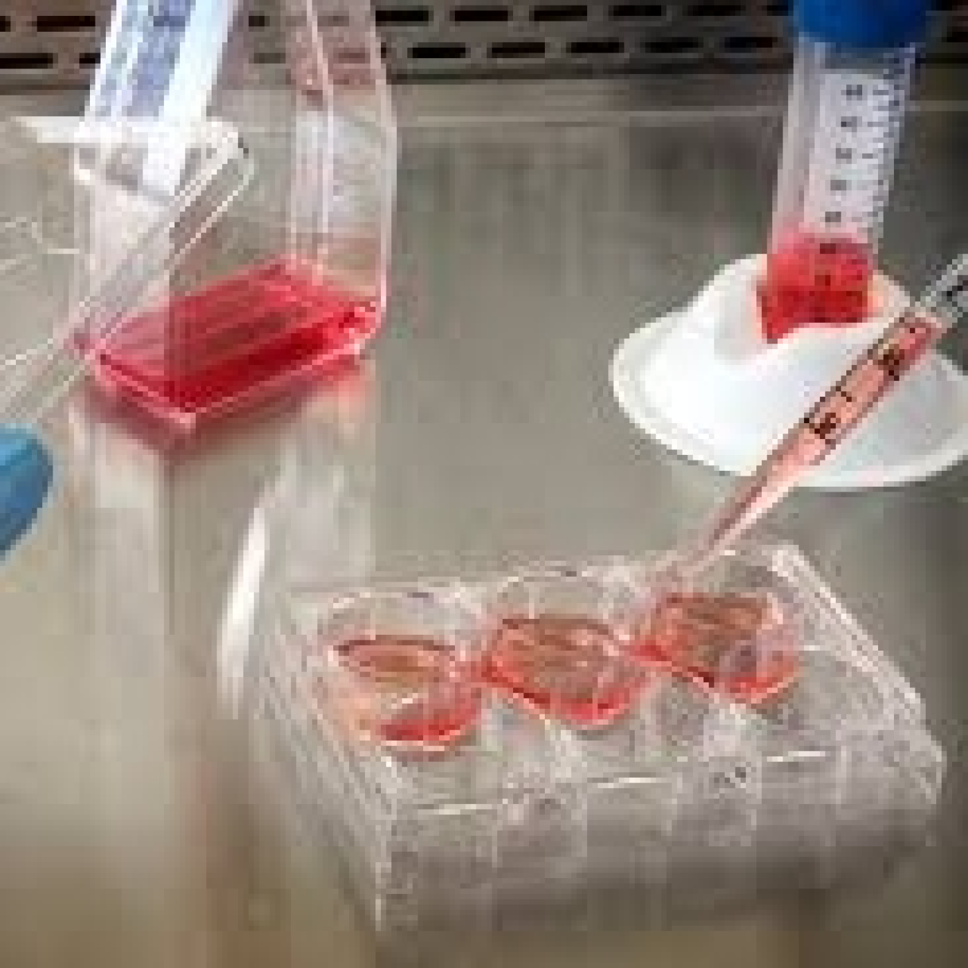 ¿Qué es un experimento controlado y como hacerlo? – ciencia para todos ...